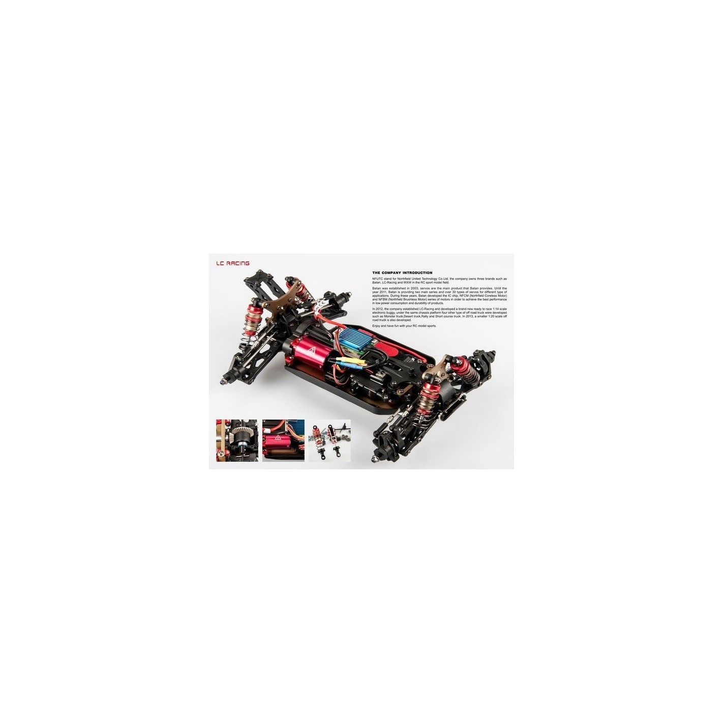 LC RACING - EMB-1HR LC RACING - 1/14 Mini Buggy Carbon Version Off Road ...